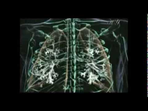 MoreThan 69 Miracles of ISLAM, that none can Deny flv - YouTube