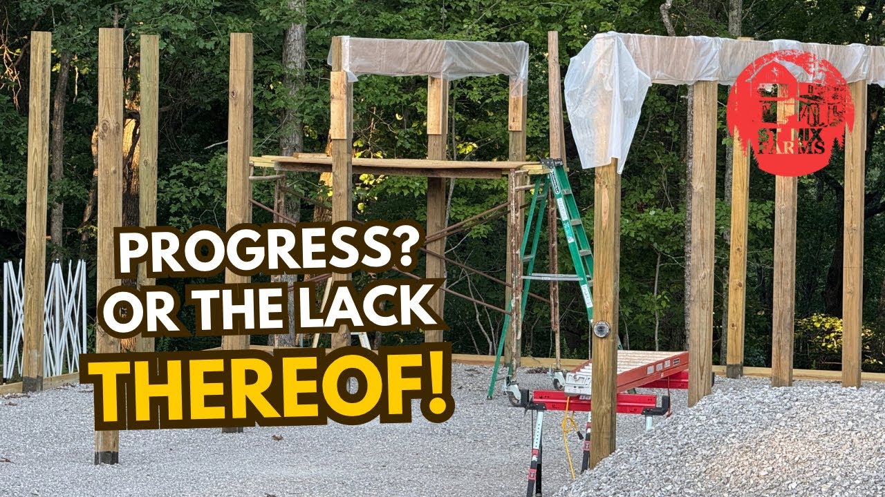 Progress? Or Lack Thereof! - YouTube