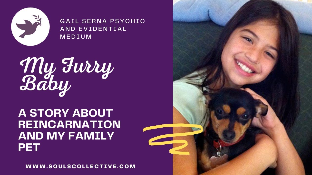 Reincarnation and Our Pets. What Happens? - YouTube