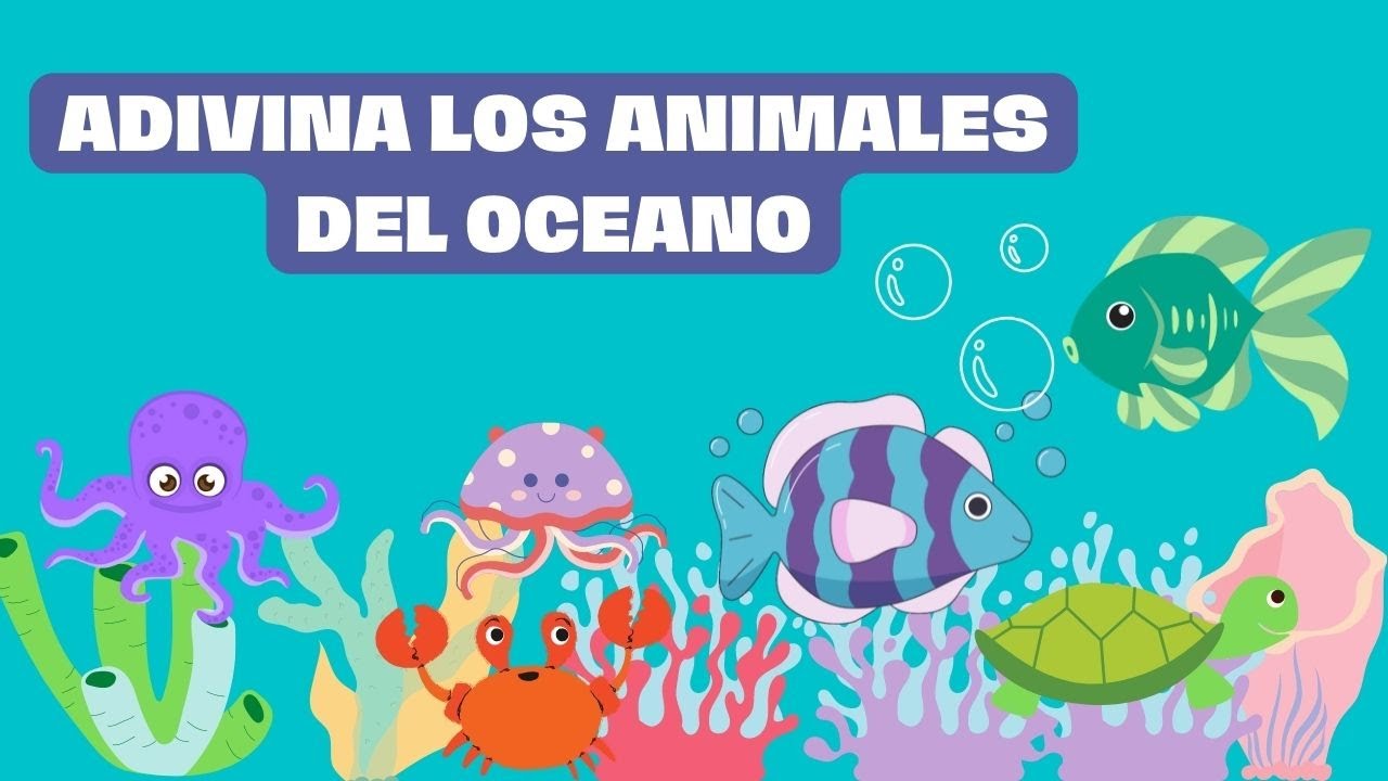 Animales del oceano, La villa de Ainhoa - YouTube