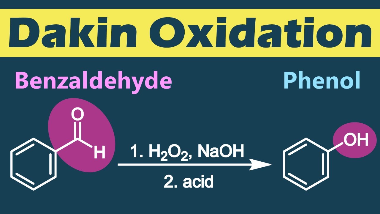デーキン酸化(Dakin Oxidation)の反応機構【ベンズアルデヒド→フェノール】 - YouTube