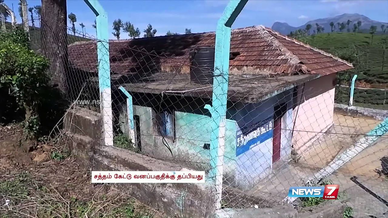 leopard enters school in Valparai - YouTube