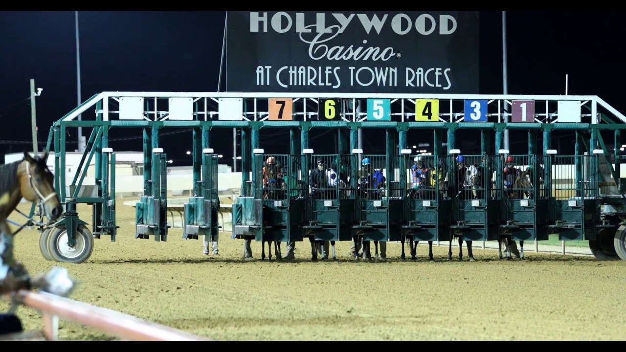 The Horses Come out the Starting Gate at Charles Town Races - YouTube