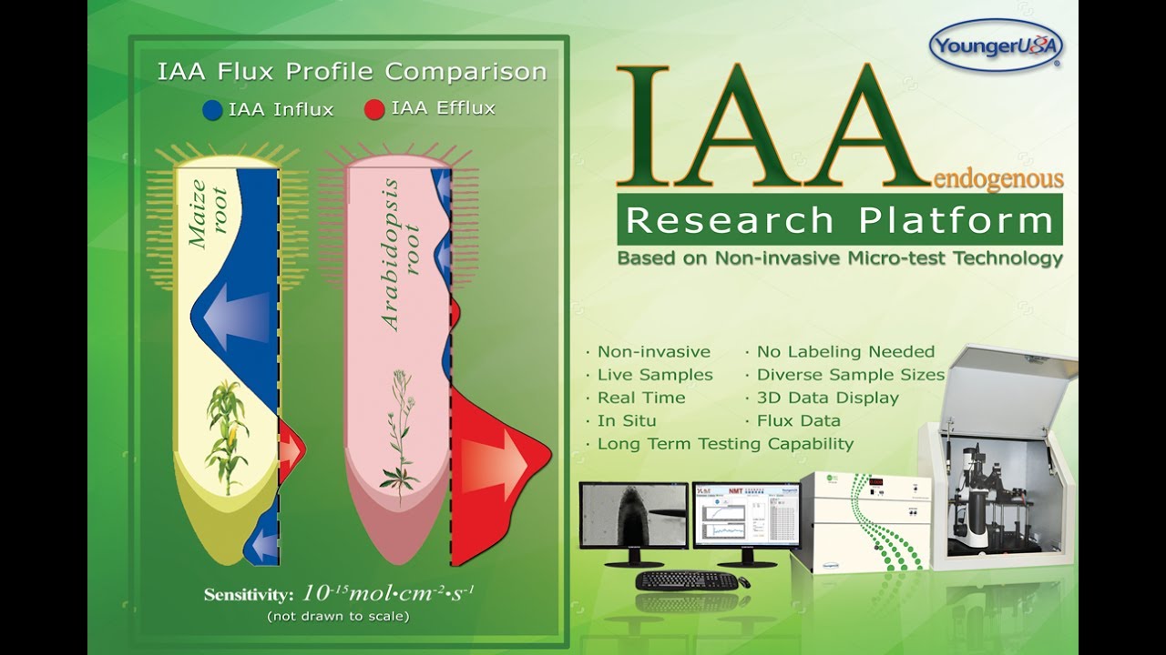 NMT Reveals Functions of IAA in Potential Cancer Treatment - YouTube