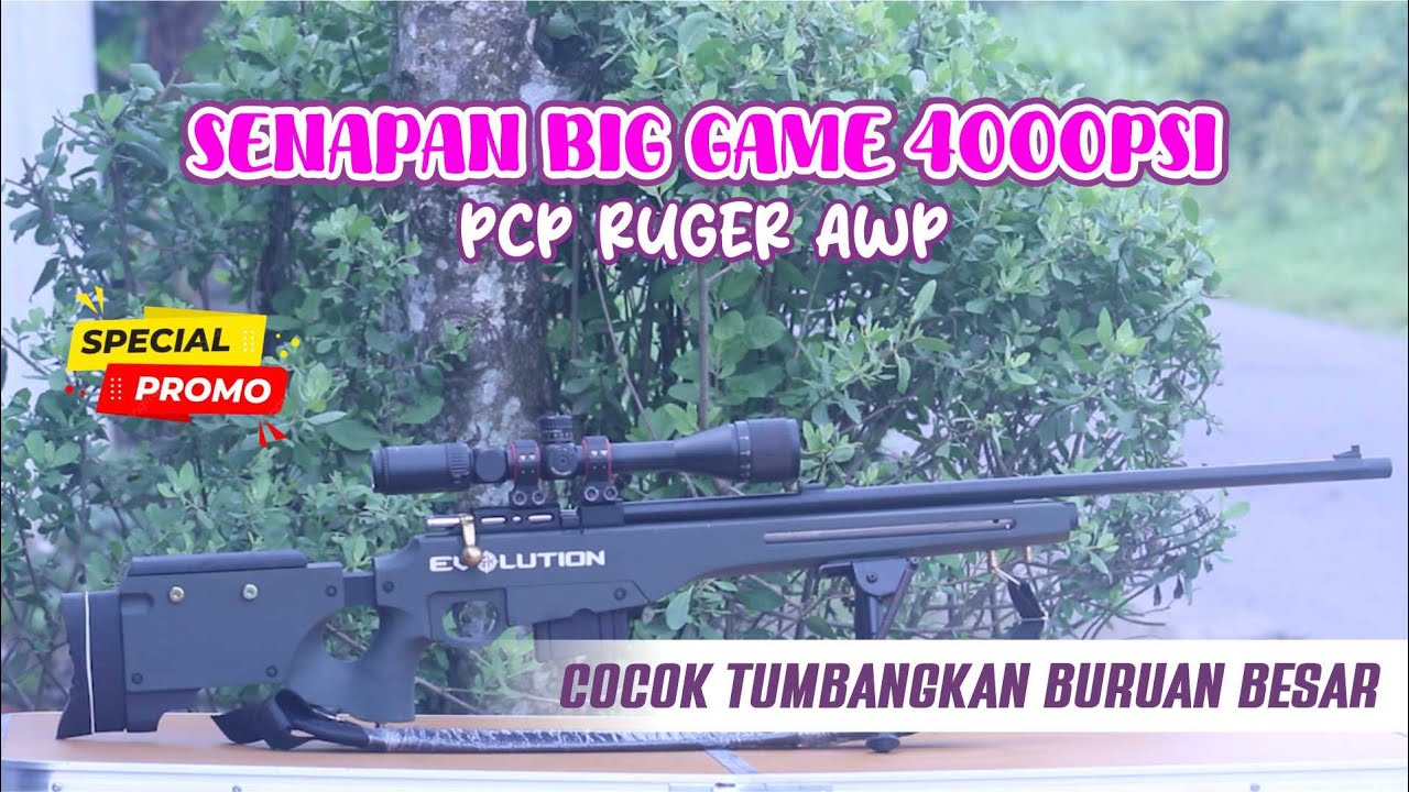 PCP RUGER EVOLUTION AWP 4000PSI SENAPAN PCP LONG RANGE TERBAIK ...