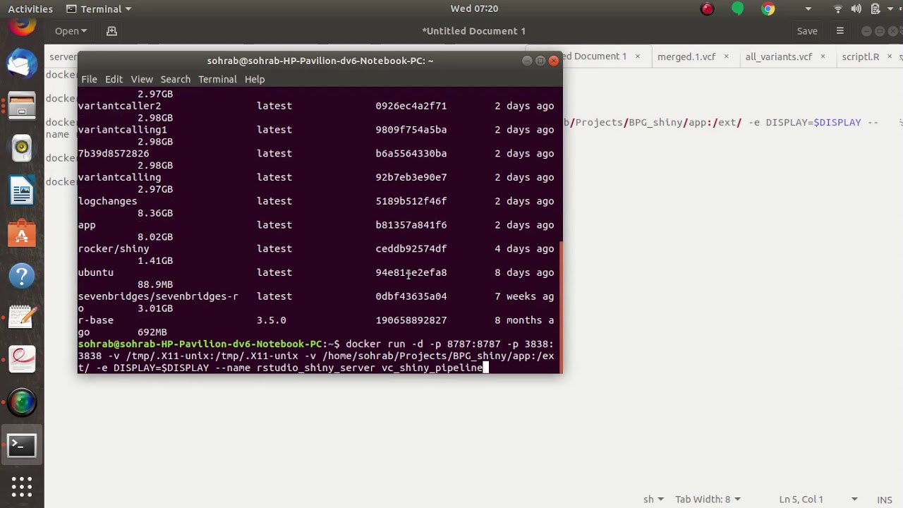 Variant calling pipeline in Shiny R using docker image - YouTube