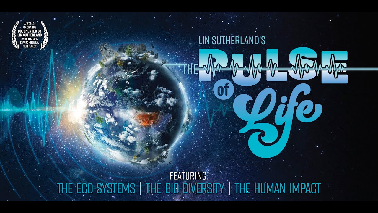 The Pulse of Life Trailer - YouTube