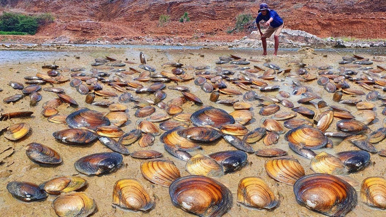 Wow wow wow collect best videos unbelievable a young man catch big ...