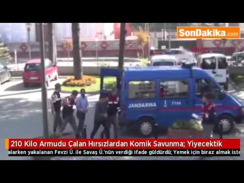 210 Kilo Armudu Çalan Hırsızlardan Komik Savunma  Yiyecektik