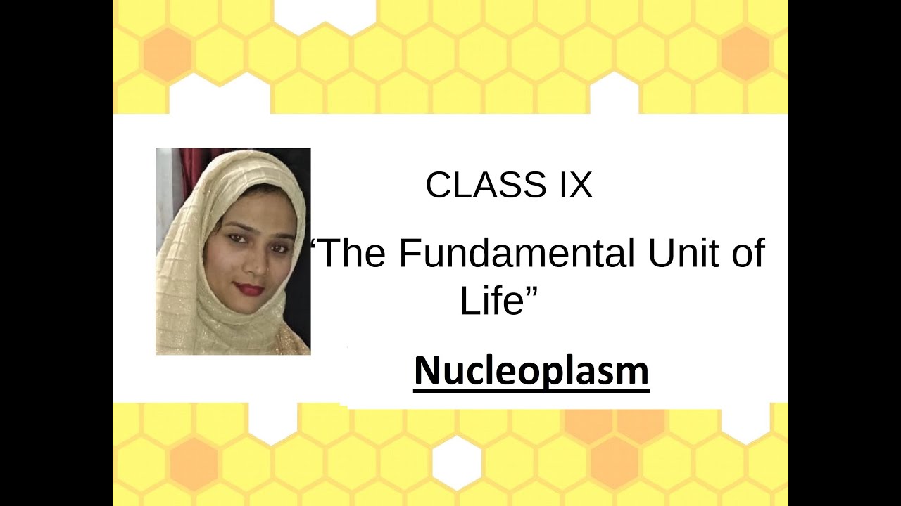 Biology/ClassIX CBSE/The fundamental unit of life/Nucleoplasm - YouTube