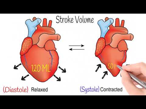 Cardiac Output & Blood Pressure, Hemodynamics Part 2 - YouTube