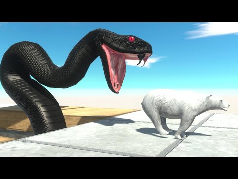 Large Size Cobra Snakes VS Bear, Buffalo, Hippopotamus || "(ARBS ...