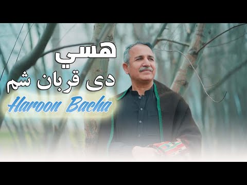 Haroon Bacha !! Hasy !! Pashto Song !! Harion bacha !! هسي دي قربان شم ...