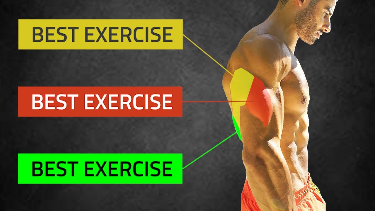 Get Bigger Triceps With This Science-Based Workout (TRAIN EACH HEAD ...