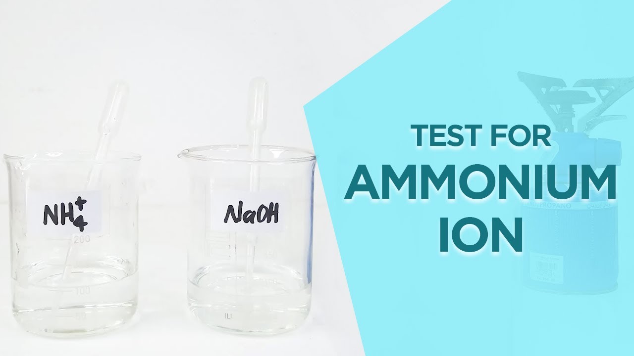 Qualitative analysis of ammonium ion | The Real Chemist - YouTube