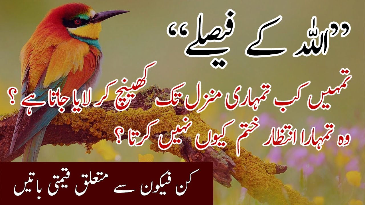 Allah kay Faislay or Kun Fayakun | Best Collection of Islamic Quotes in ...