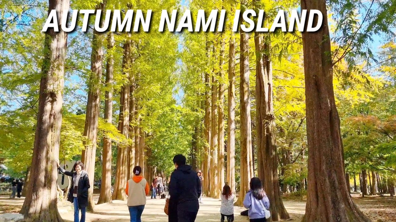 [4K] Beautiful NAMI island autumn korea keindahan pulau nami di musim ...