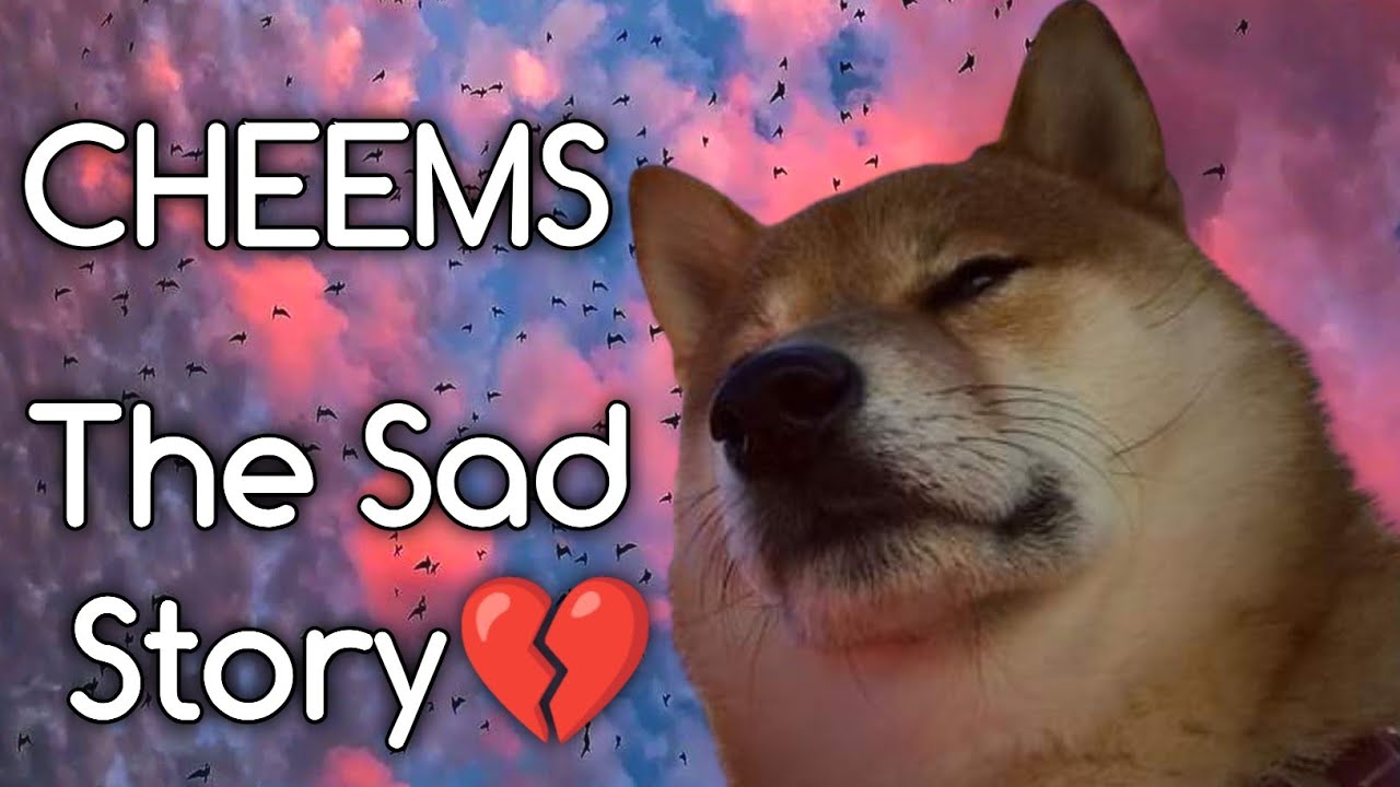 Sad story of cheems 💔 | doge meme sad | depressed doge | SigmaHrithik ...