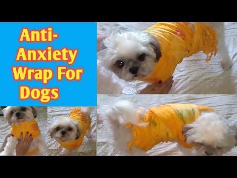 ANTI-ANXIETY WRAP FOR DOGS - YouTube