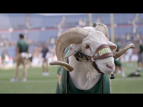 What Is The Mascot For Colorado State University