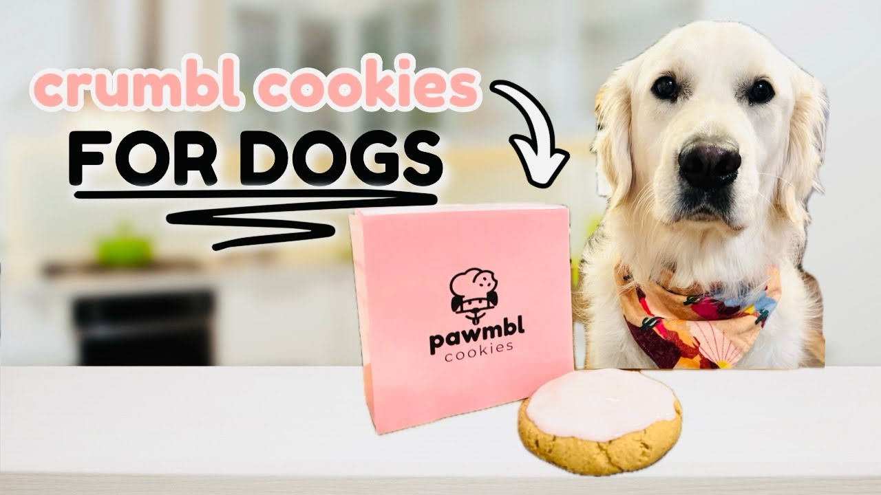 Crumbl Cookie Recipe FOR DOGS | Homemade Dog Crumbl Cookie Dog Treats ...