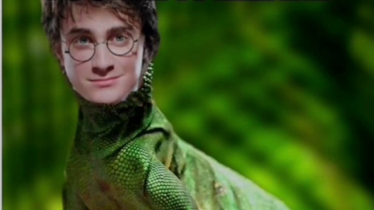 You’re a lizard Harry - YouTube