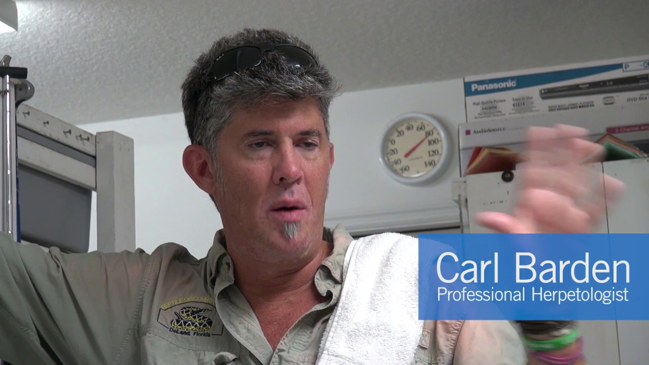 Carl Barden - Daytona State Magazine, Fall 2016 - YouTube