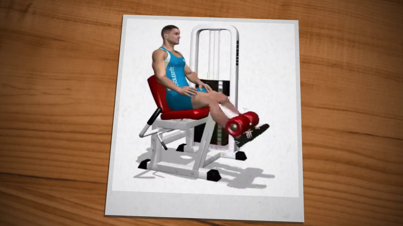 10 meilleurs exercices de musculation pour se muscler les jambes - YouTube