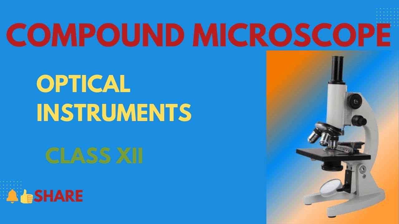 Compound Microscope - An Optical Instrument - YouTube