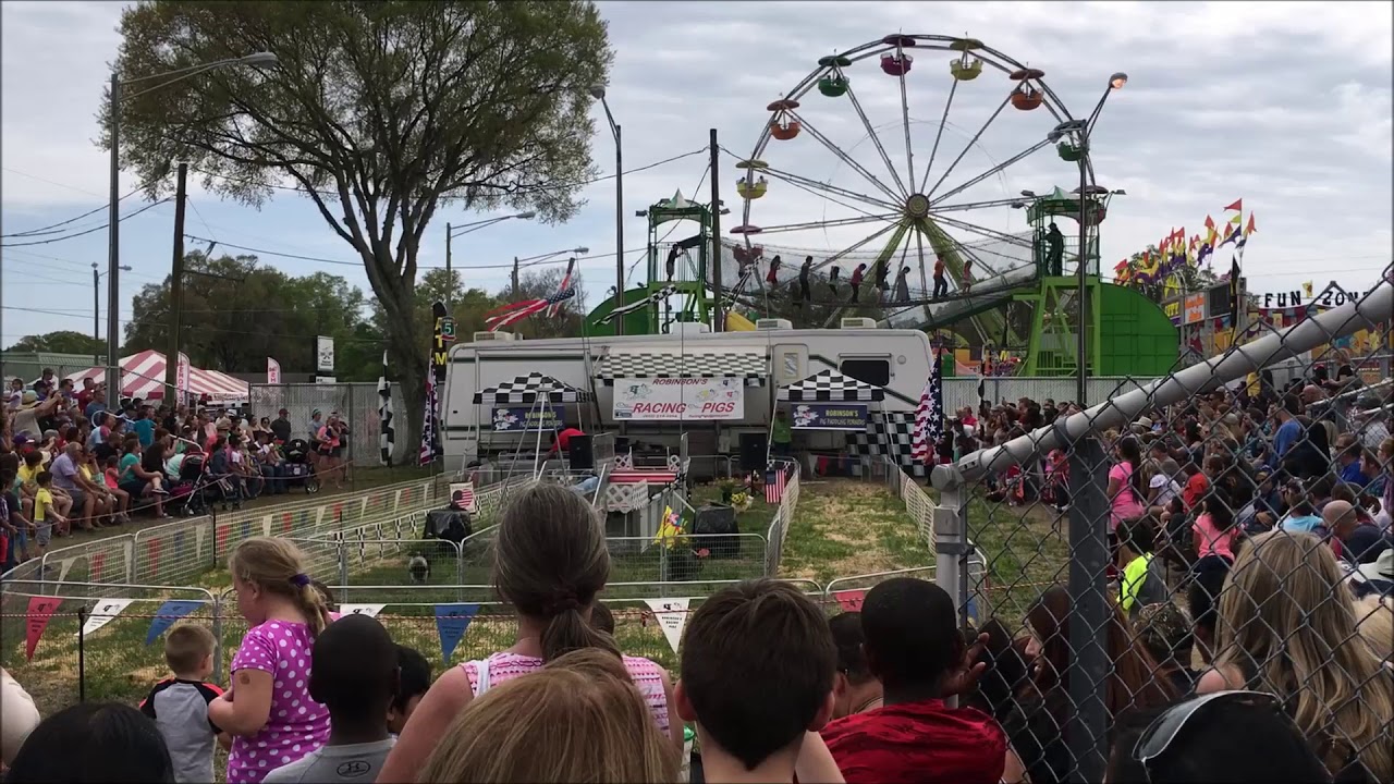 Pig Race at the Florida Strawberry Festival - YouTube
