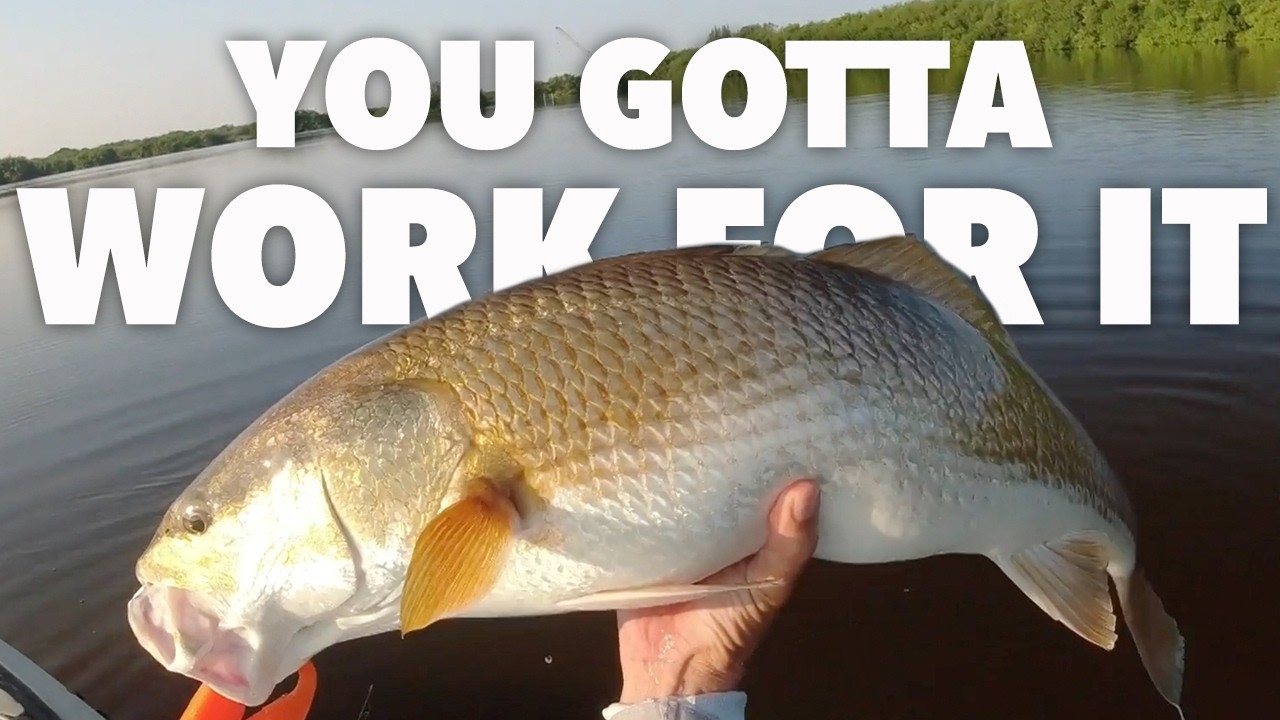 Catching Monster Redfish (no boats allowed) - YouTube