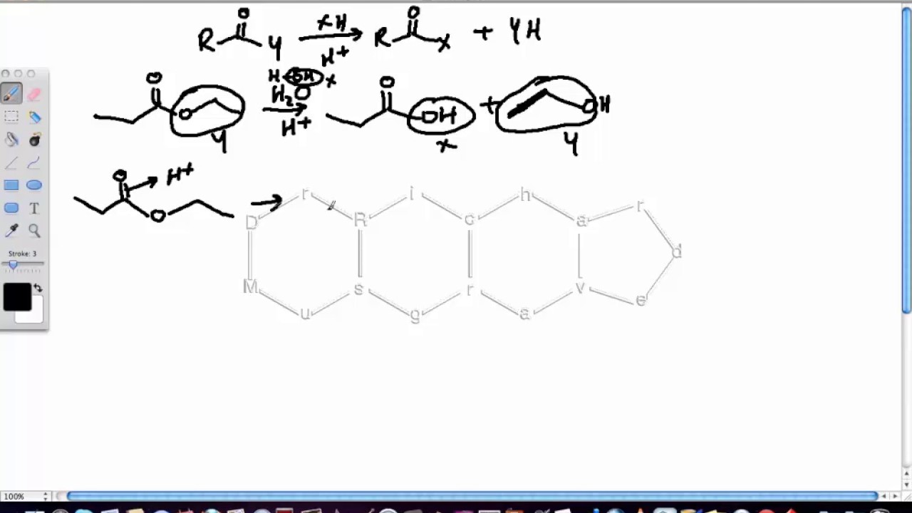 Acid Catalyzed Ester Hydrolysis - YouTube