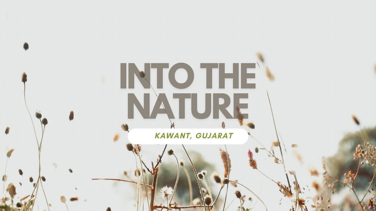 KAWANT | Tribe or Village of आदिवासी culture. - YouTube