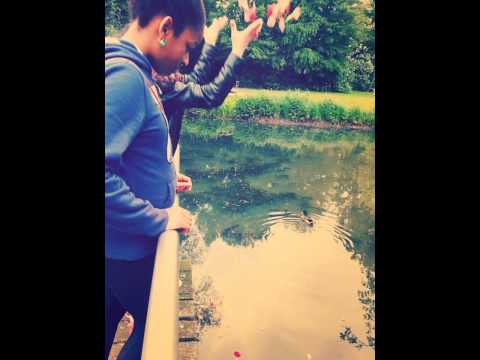 edu und bengü und ich