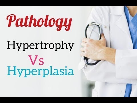 General pathology _ introduction part 6 _ The difference between ...