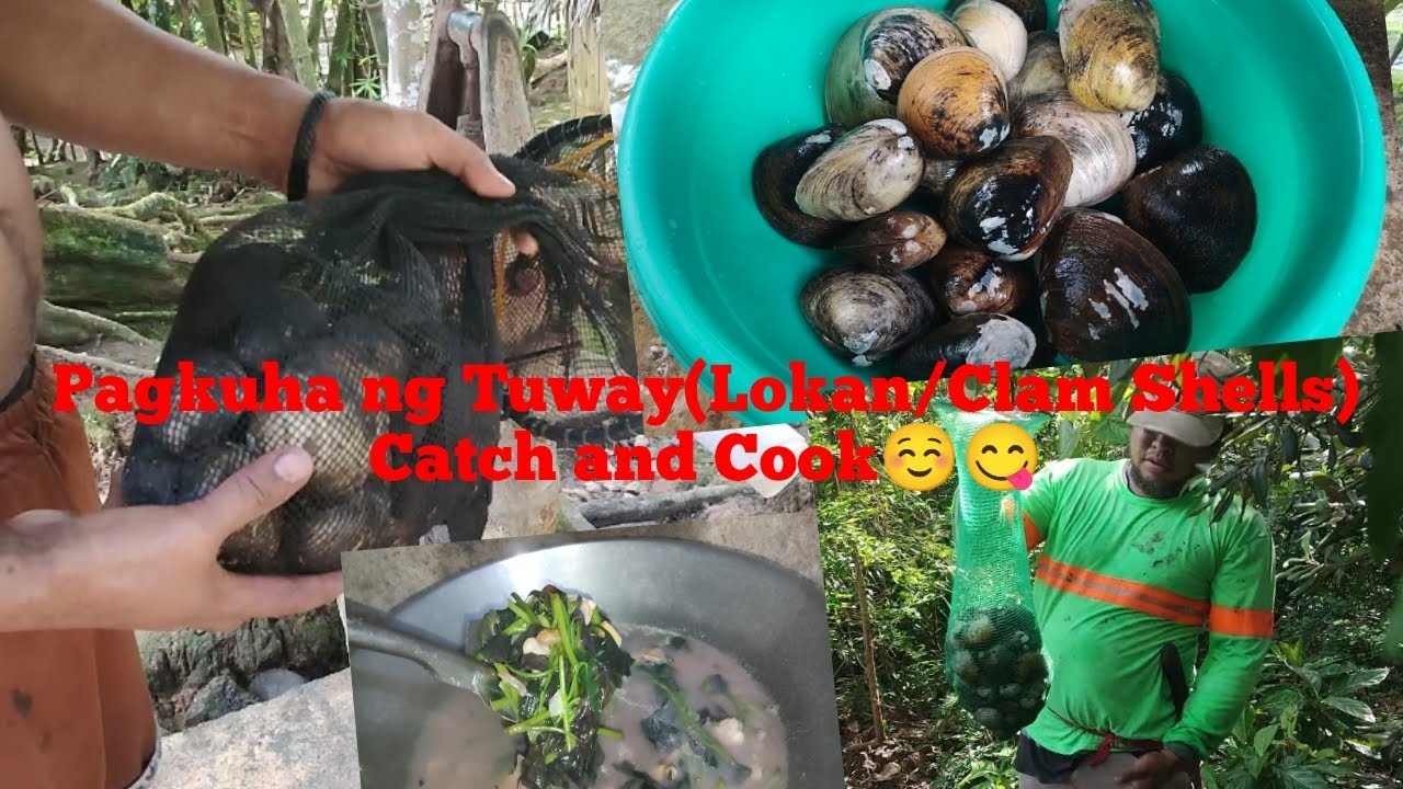 Pagkuha ng Tuway (lokan/Clam Shells) Catch and Cook. - YouTube