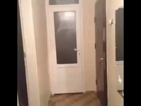 Sahibi Eve Gelince Köpek Vs Kedi #Vine (Aykut Elmas)