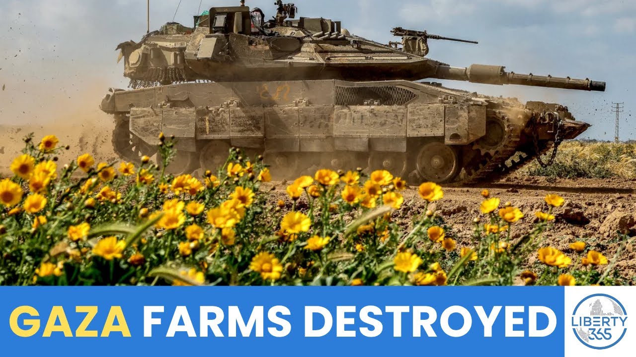 Gaza’s Agriculture COLLAPSES — 87% of Farmland Destroyed by Ongoing ...
