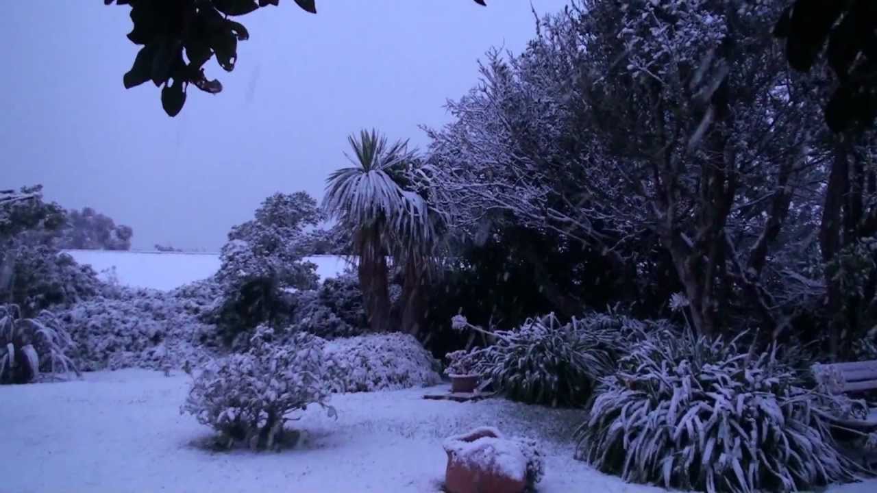 Wellington Snow - YouTube