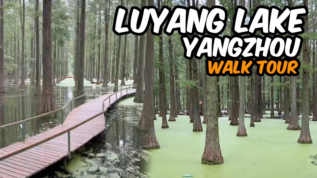 Luyang Lake Wetland Park in Yangzhou | Natural Beauty and Serenity ...