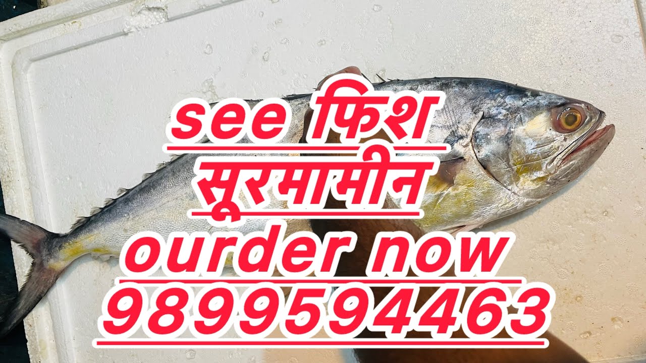 Surname meen fish # irfan fish shop # visit now # ….. - YouTube