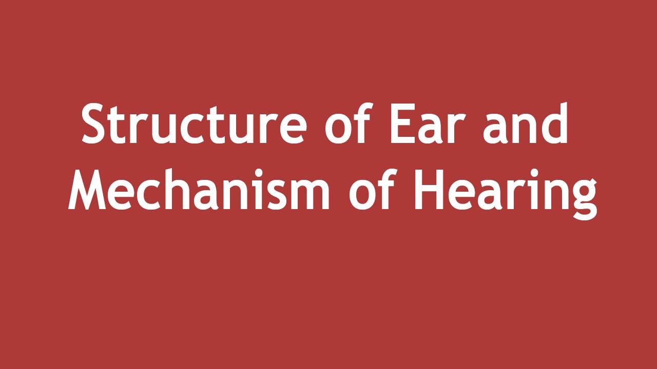 Structure of Ear and Mechanism of Hearing [ENGLISH] | Dr. Shikha Parmar ...