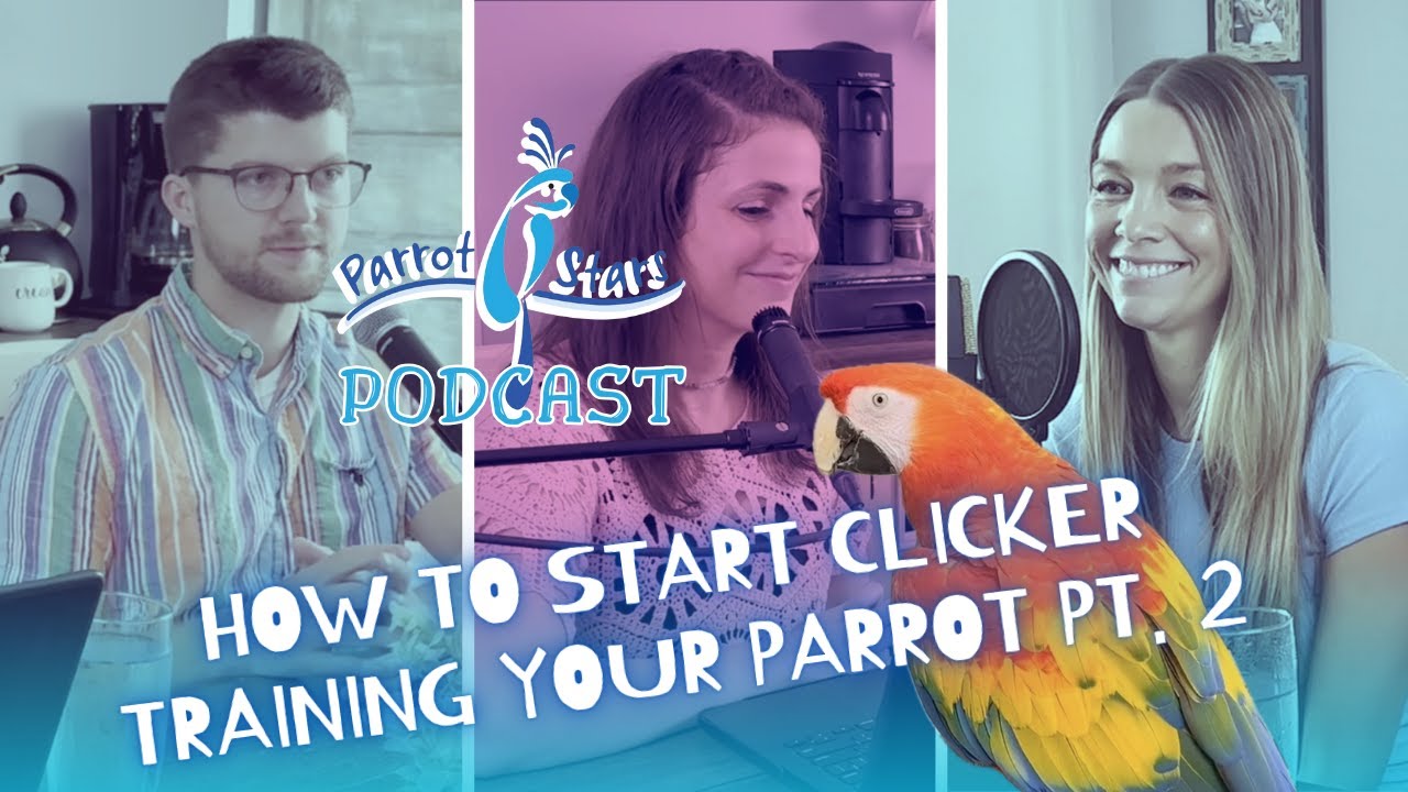 How to Start Clicker Training your Parrot Pt. 2 | S02 E08 | Parrot ...