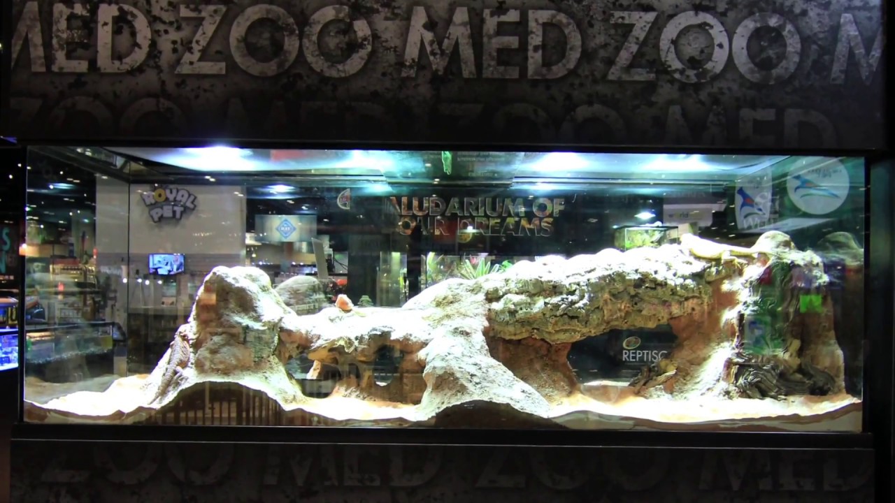 Zoo Med Global Pet Expo Booth Timelapse 2017 - YouTube