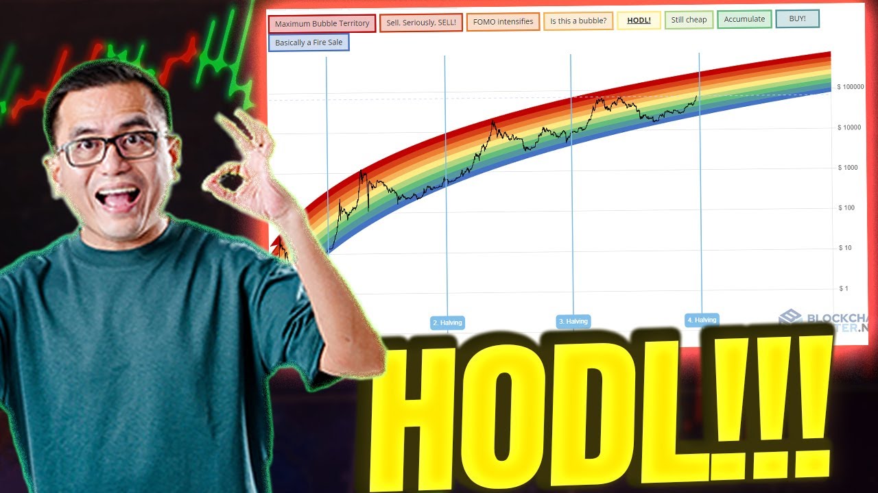 THIS CHART TELLS US THAT WE ARE AT THE HODL STAGE | MORE INSTUTIONS ...