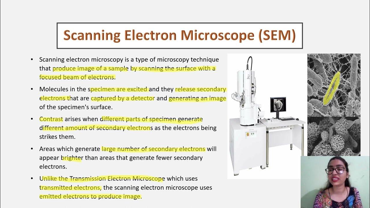 Microscopy Lecture 9 | Scanning electron microscope (SEM) | Basics Principle working and ...
