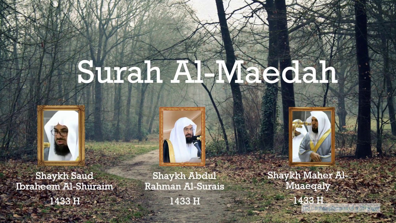 005. Surah Al Maedah-Sudais Shuraim Maher 33 - YouTube