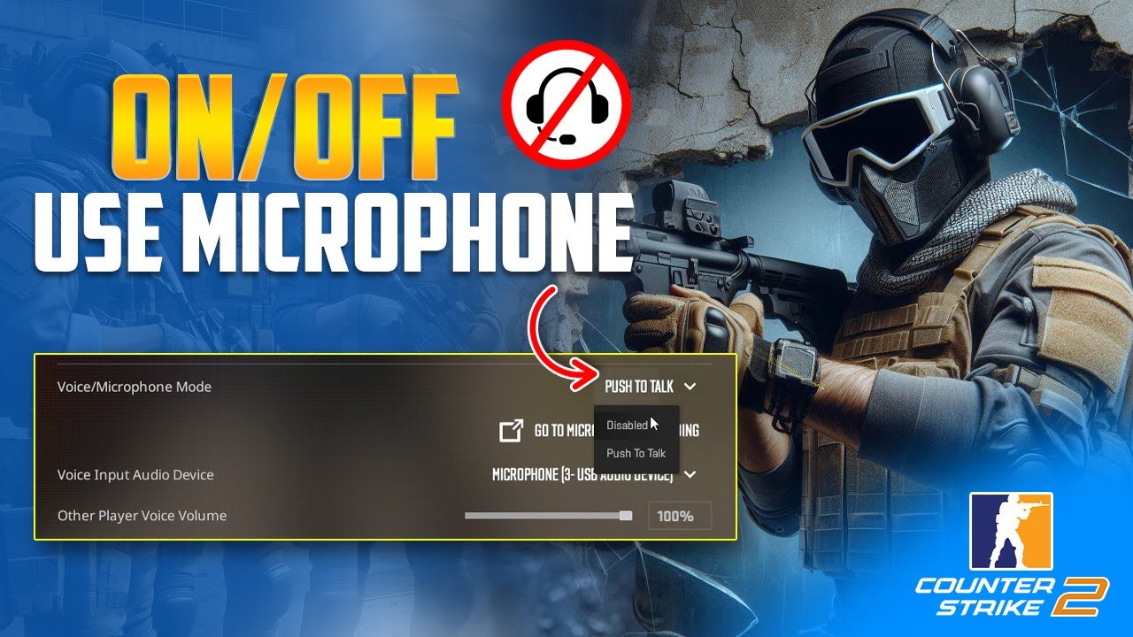 How to Turn ON or OFF Press to Use Microphone Function in CS2 on PC ...