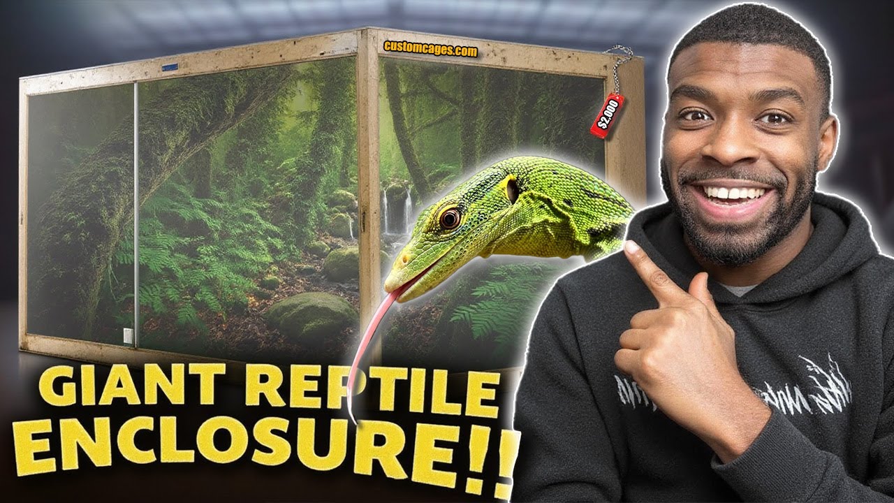 MY Green Tree Monitor gets HUGE Enclosure UPGRADE! - YouTube