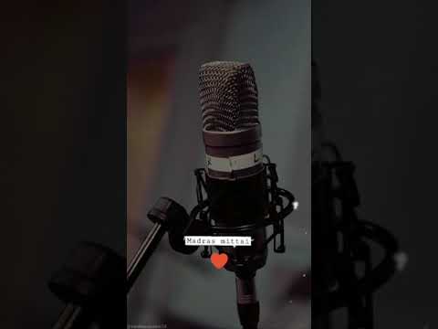 show me the meaning status, love songs, English status, what's app status